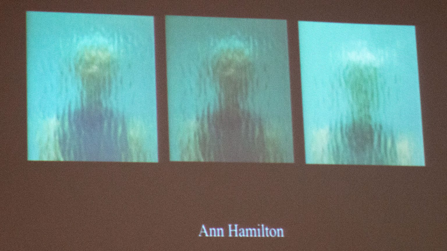 Joseph Scheer | Proyecto´ace