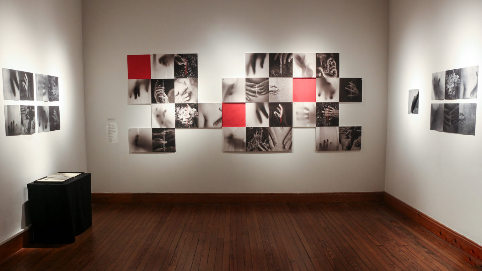 Liz Ingram | Proyecto´ace