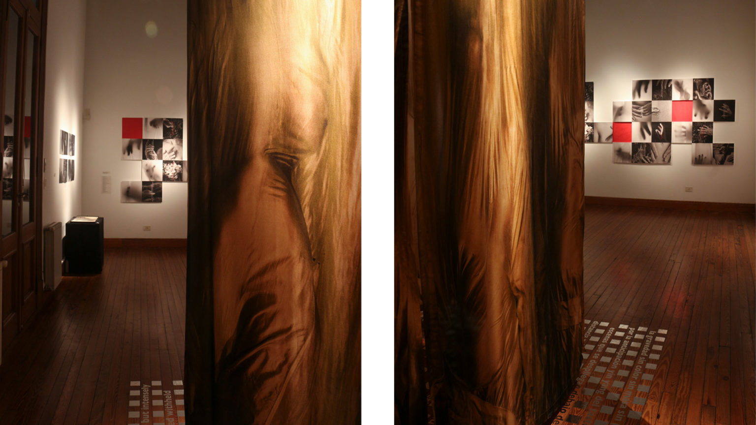 Liz Ingram | Proyecto´ace