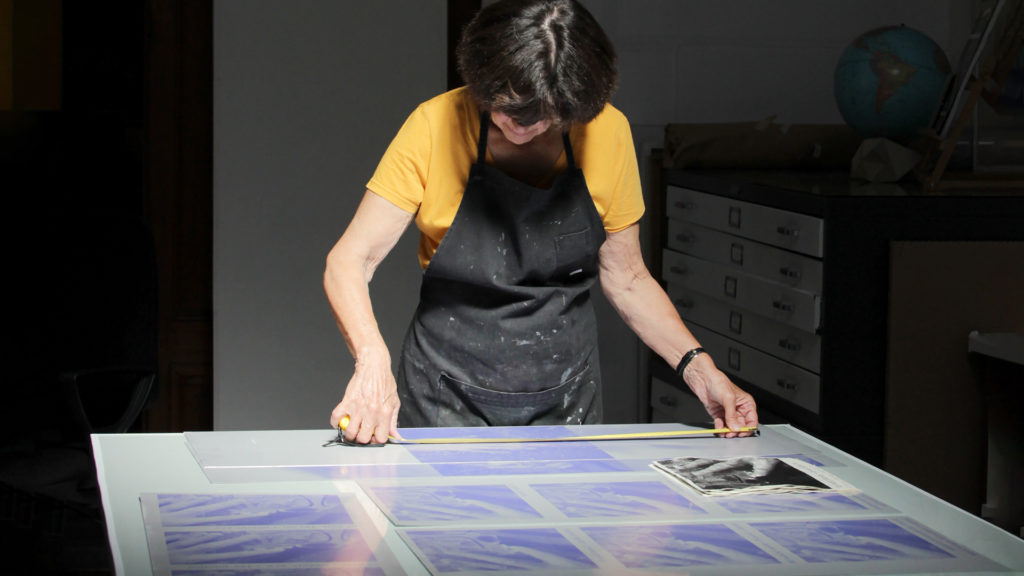 Liz Ingram | Proyecto´ace