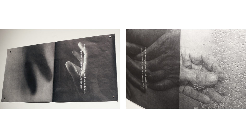 Liz Ingram | Proyecto´ace