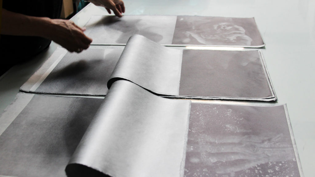 Liz Ingram | Proyecto´ace