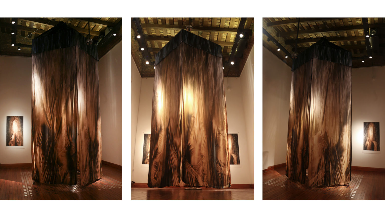 Liz Ingram | Proyecto´ace