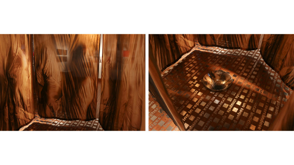 Liz Ingram | Proyecto´ace