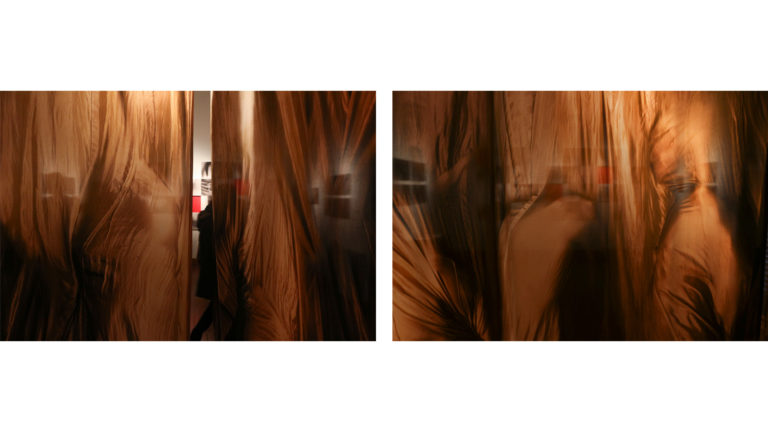 Liz Ingram | Proyecto´ace