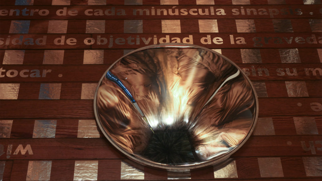 Liz Ingram | Proyecto´ace