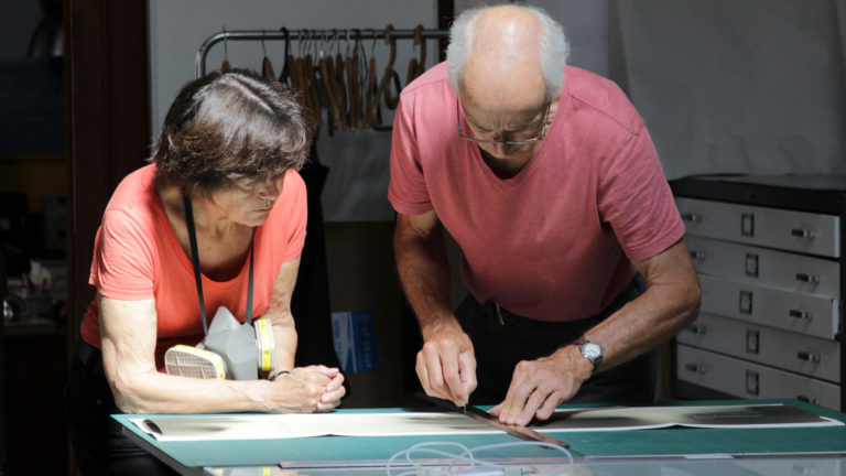 Liz Ingram | Proyecto´ace