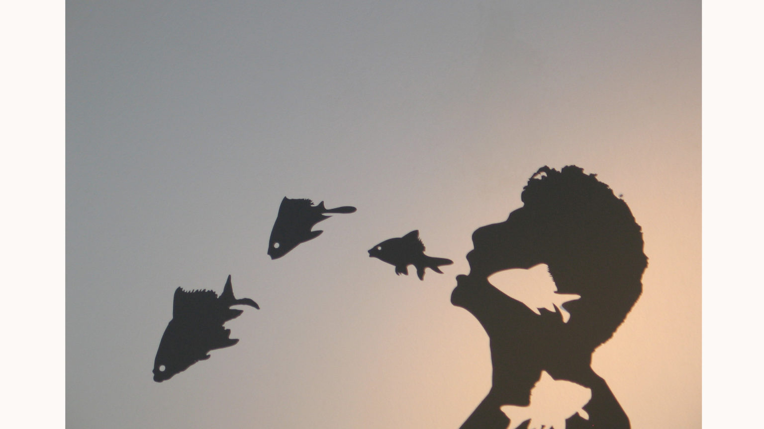 Rafael Trelles | Proyecto´ace