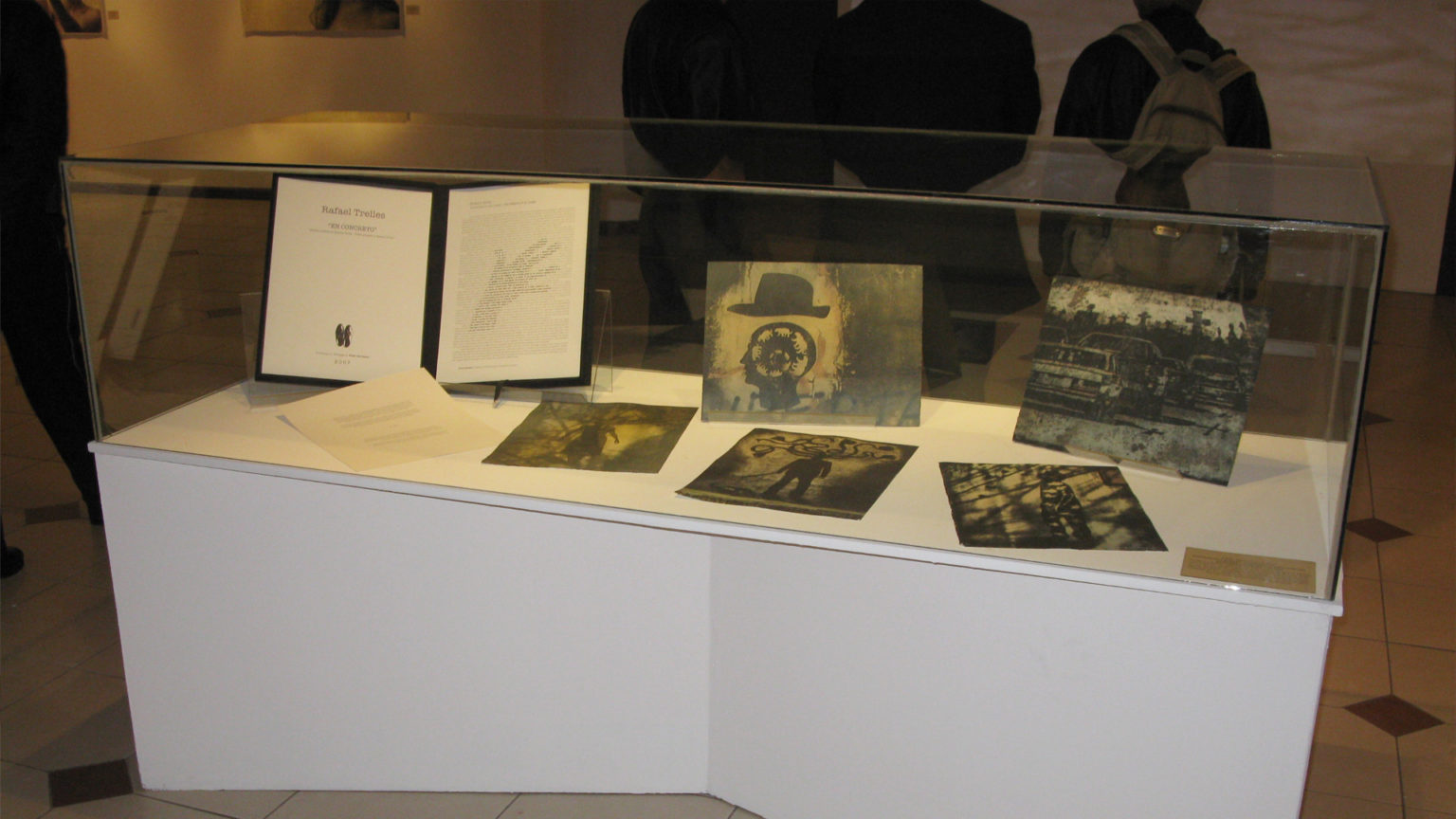 Rafael Trelles | Proyecto´ace