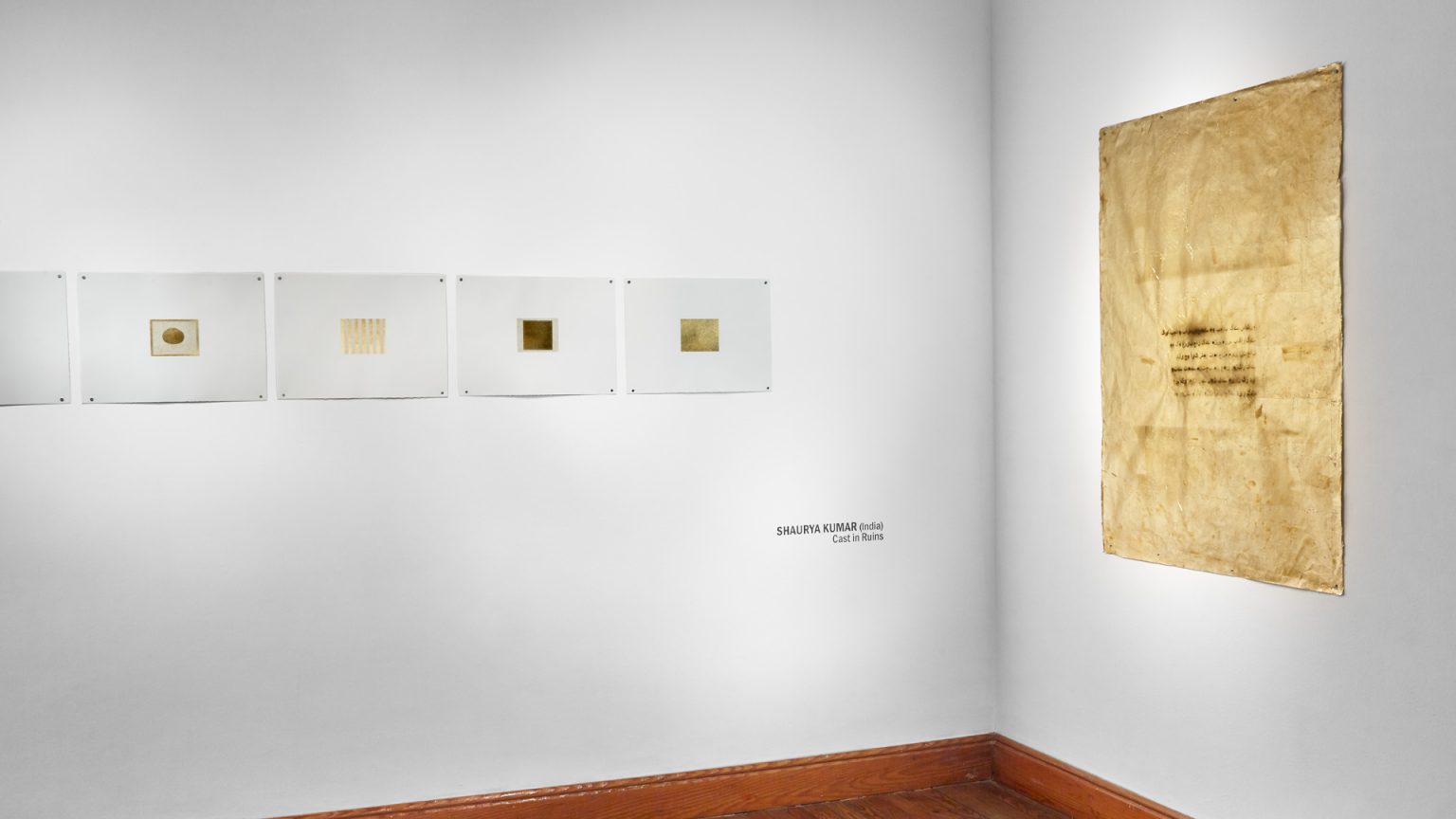 Shaurya Kumar | Proyecto´ace