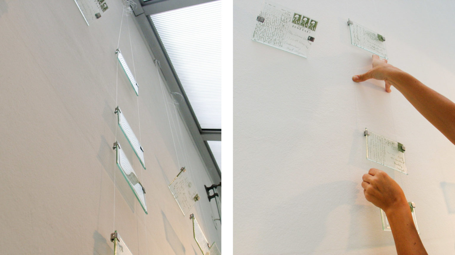 Michelle Murillo | Proyecto´ace