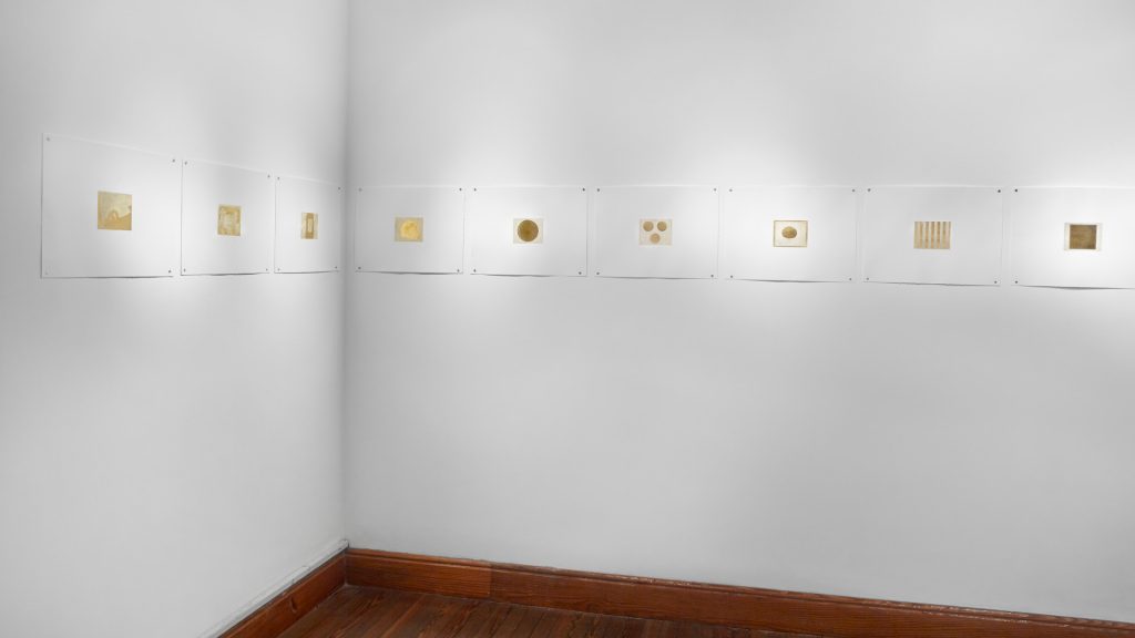 Shaurya Kumar | Proyecto´ace