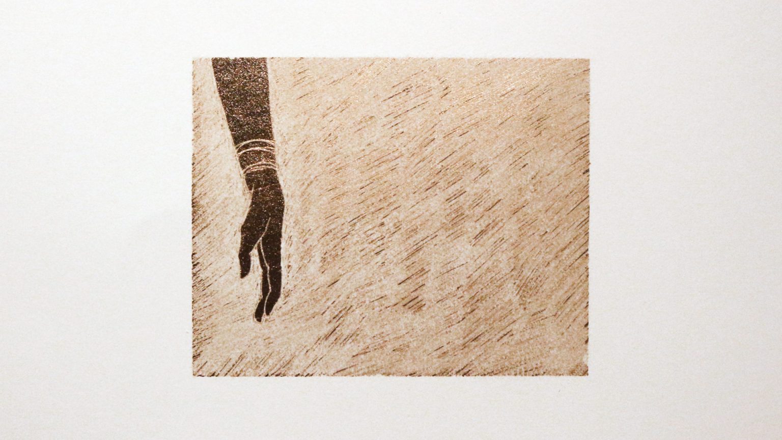 Shaurya Kumar | Proyecto´ace