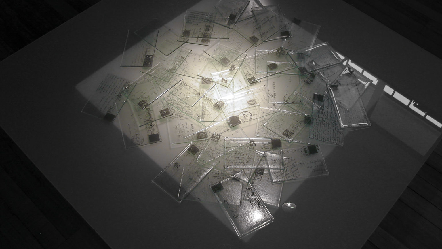 Michelle Murillo | Proyecto´ace