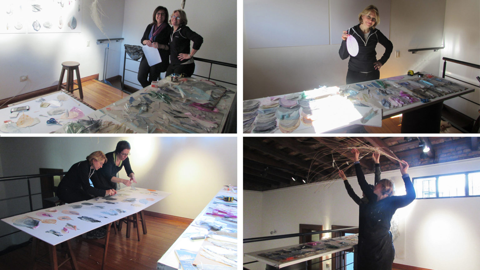 Anna Nicholson | Proyecto´ace