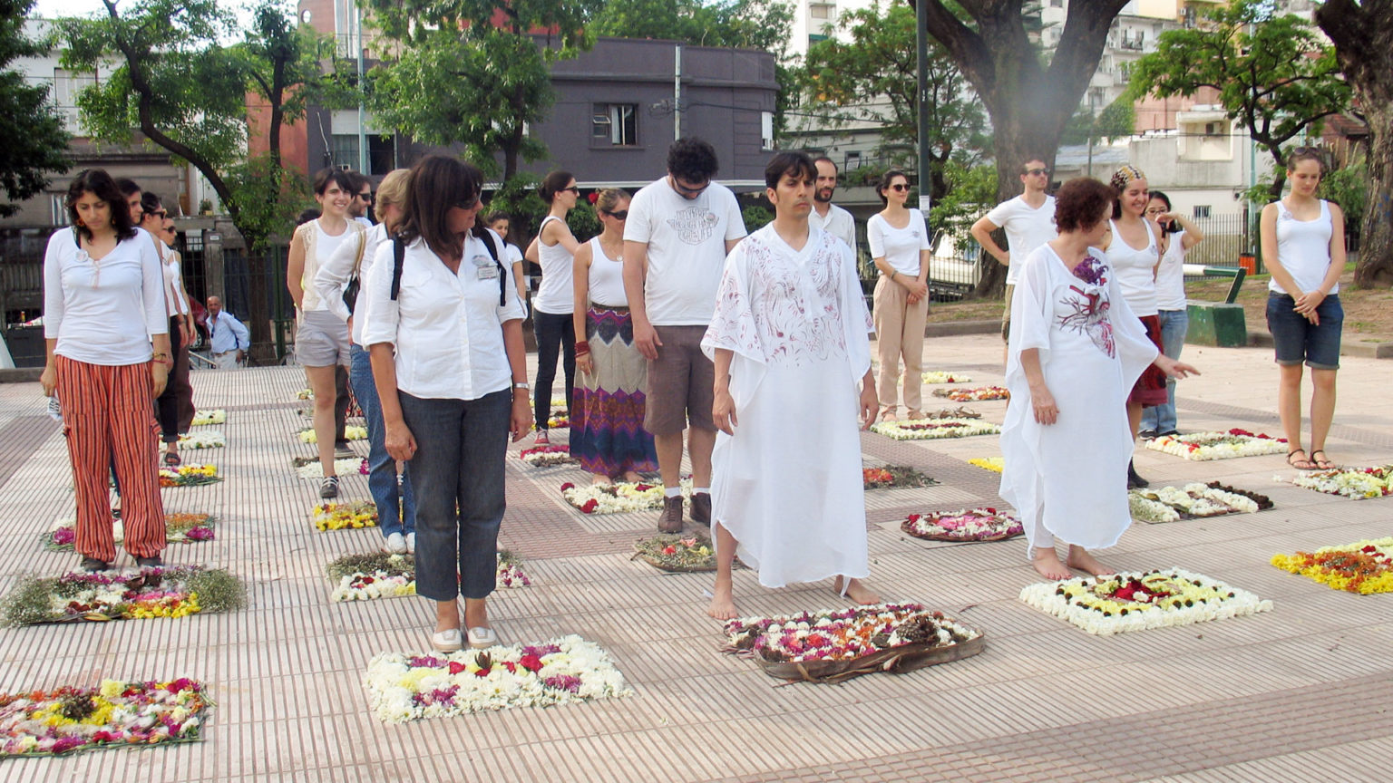 Cecilia Stelini | Proyecto´ace