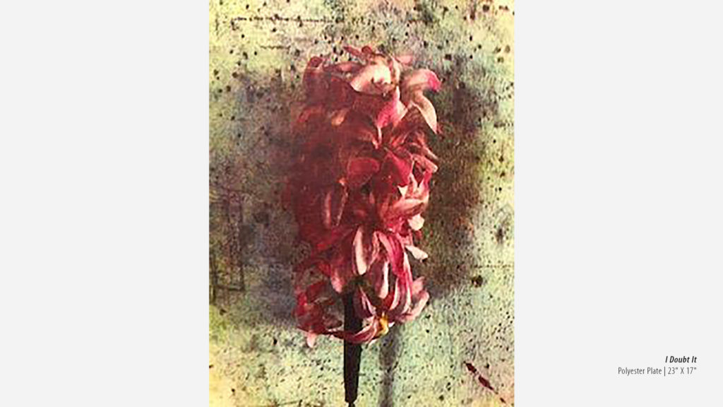 Jeff Sippel | Proyecto´ace