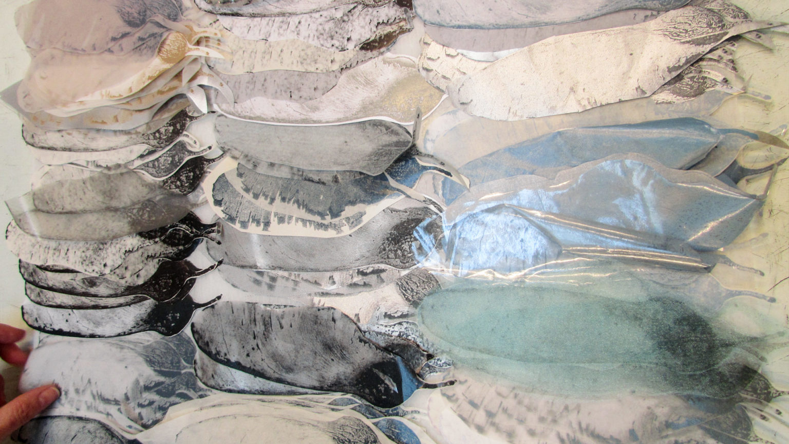 Anna Nicholson | Proyecto´ace