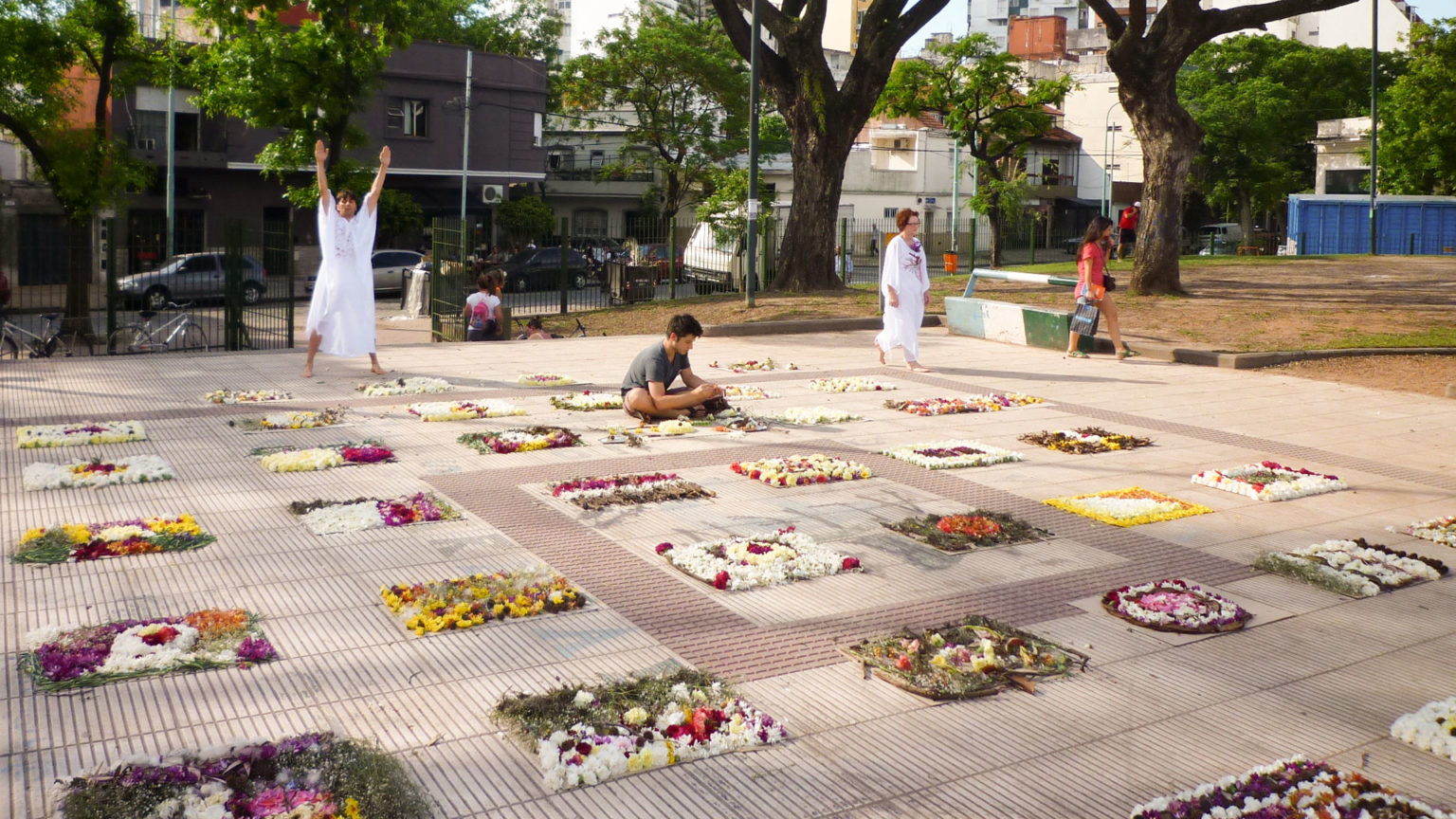 Cecilia Stelini | Proyecto´ace