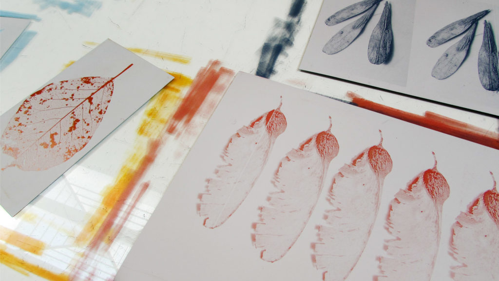 Anna Nicholson | Proyecto´ace