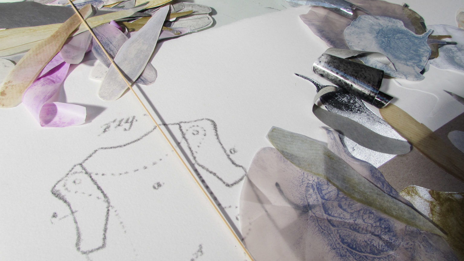 Anna Nicholson | Proyecto´ace