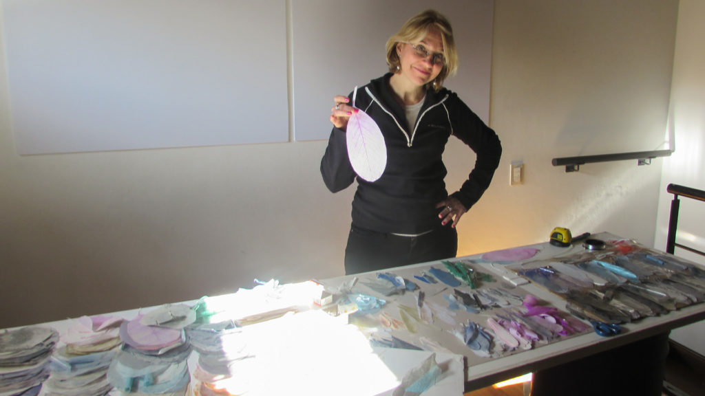 Anna Nicholson | Proyecto´ace