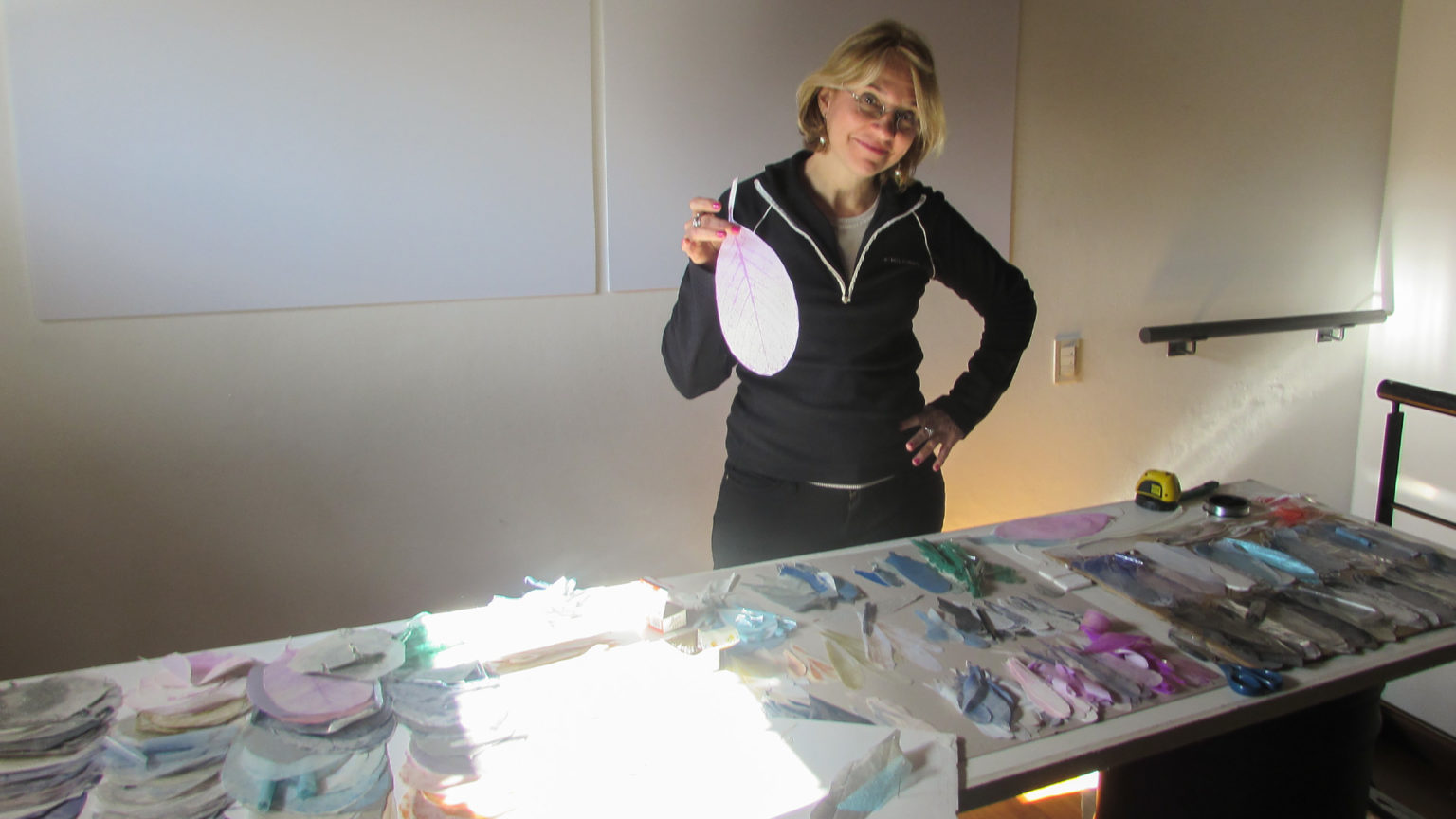 Anna Nicholson | Proyecto´ace