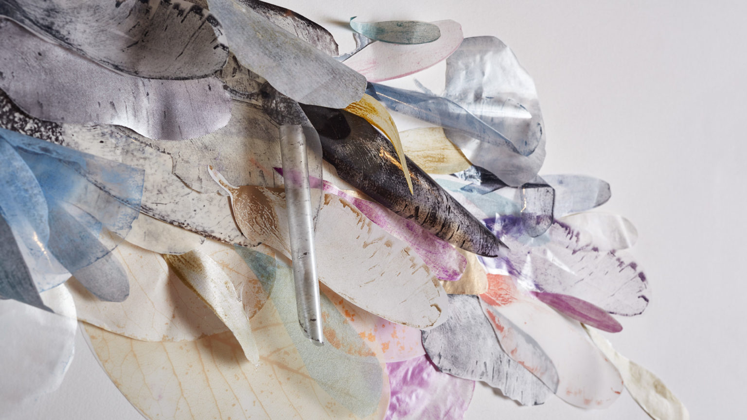 Anna Nicholson | Proyecto´ace