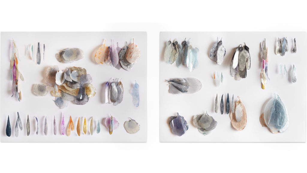 Anna Nicholson | Proyecto´ace