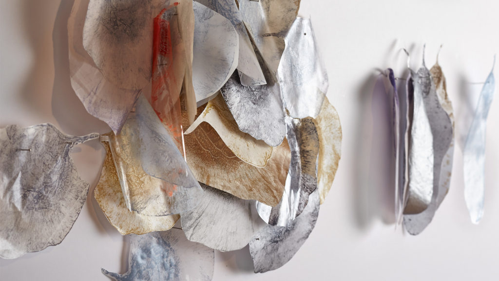 Anna Nicholson | Proyecto´ace