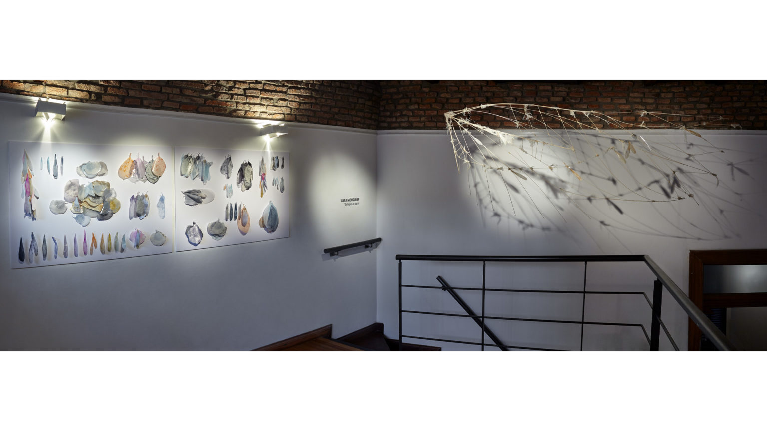 Anna Nicholson | Proyecto´ace