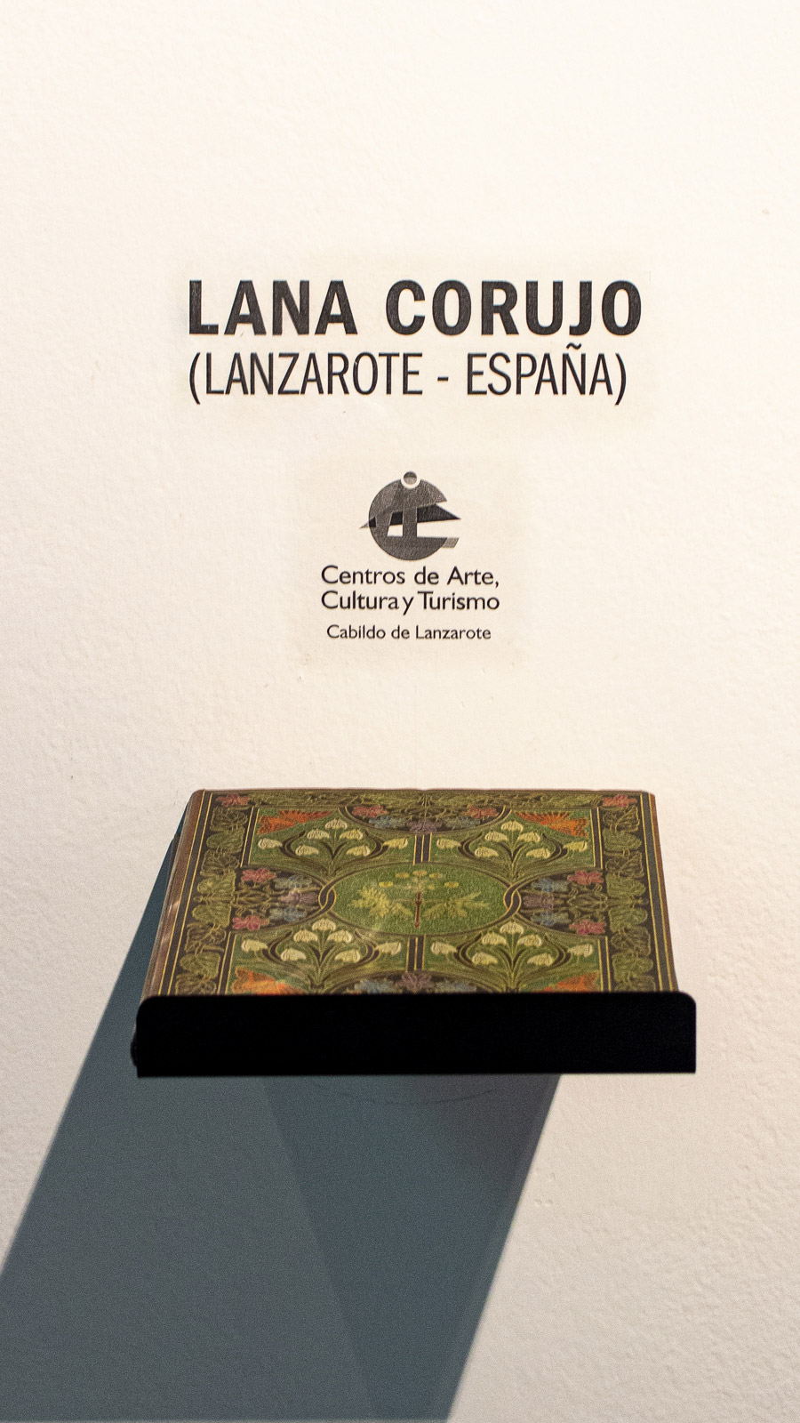 Lana Corujo | Proyecto´ace